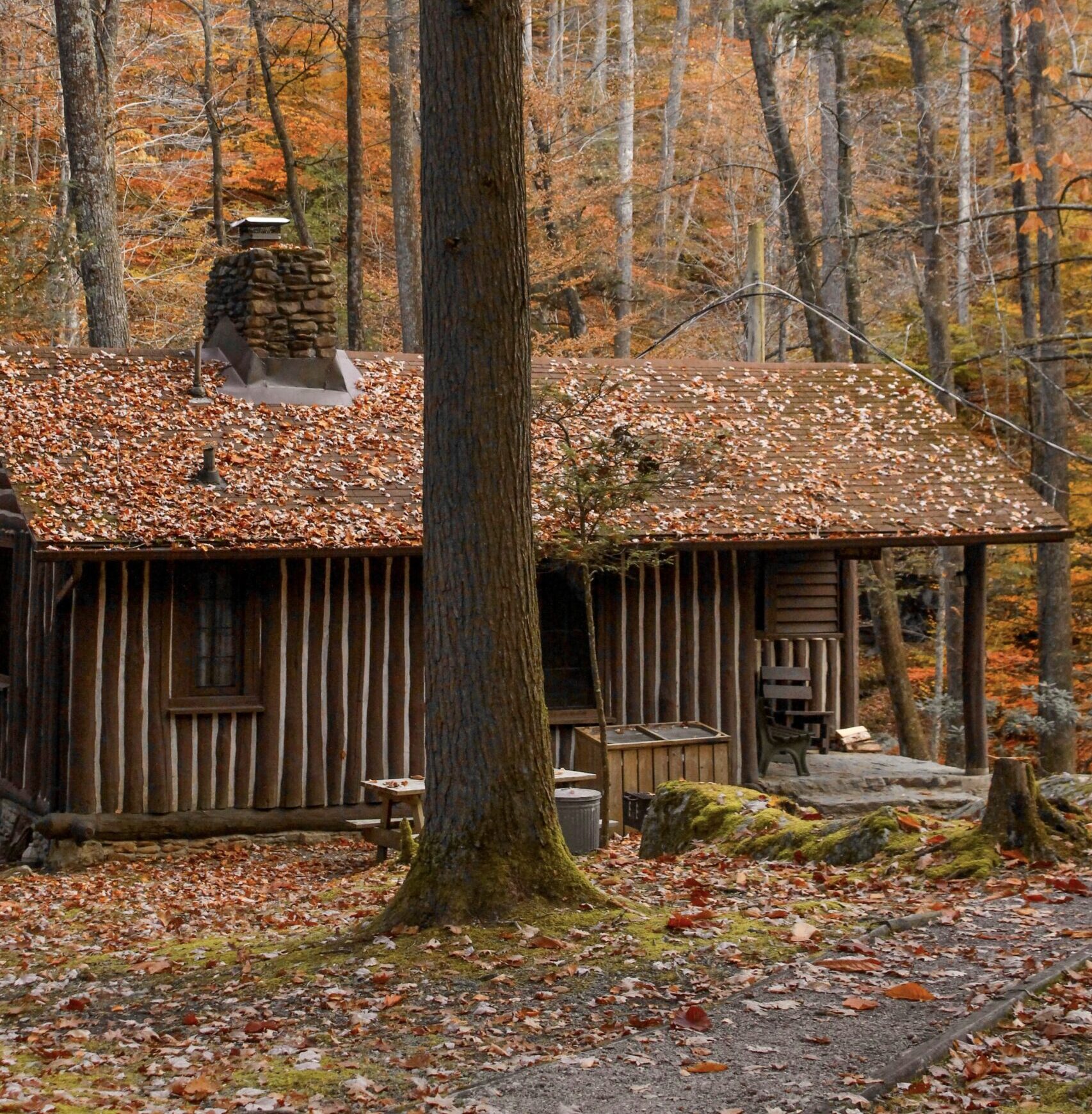Holly River State Park - Webster County Tourism