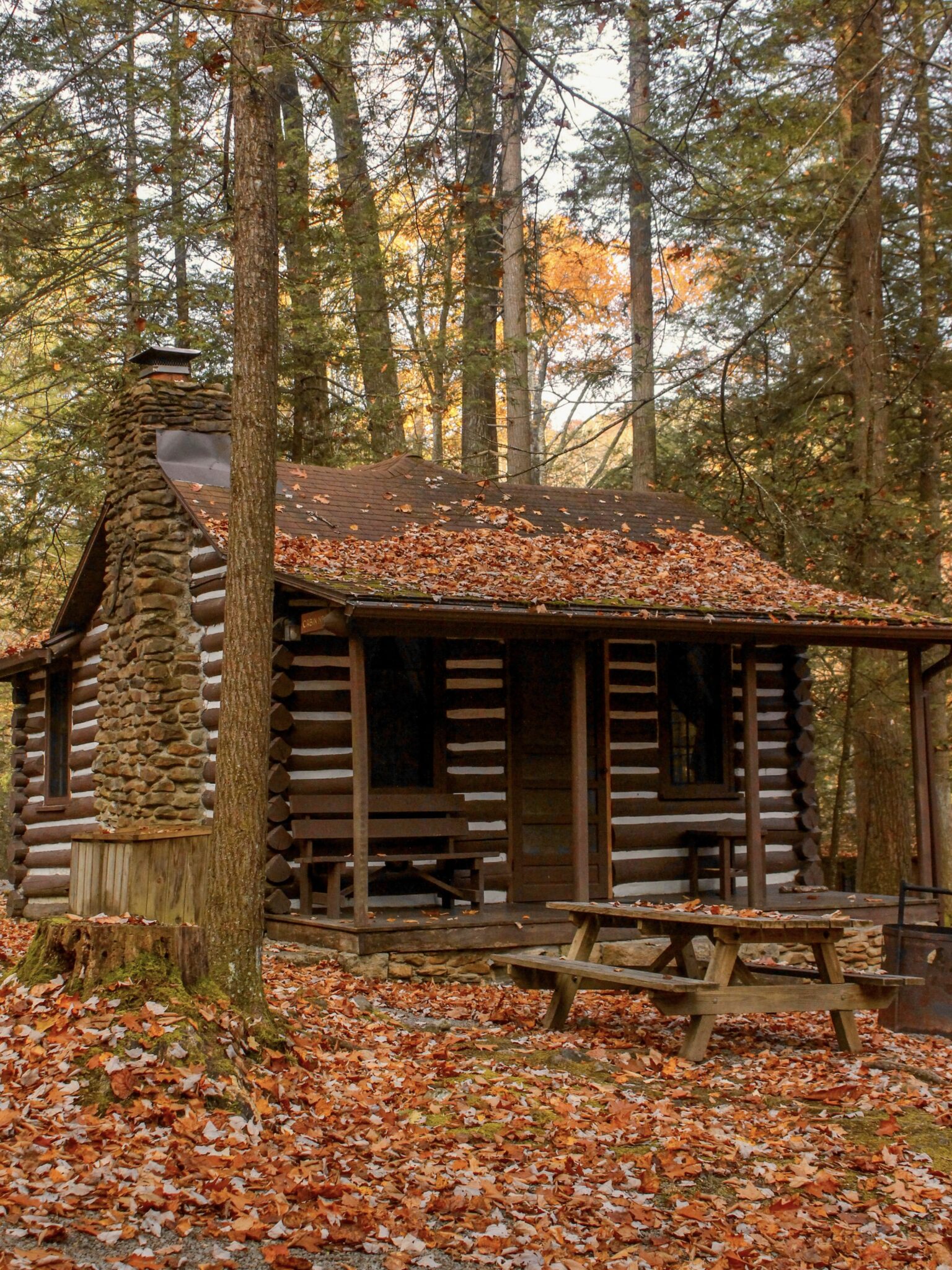 Holly River State Park - Webster County Tourism