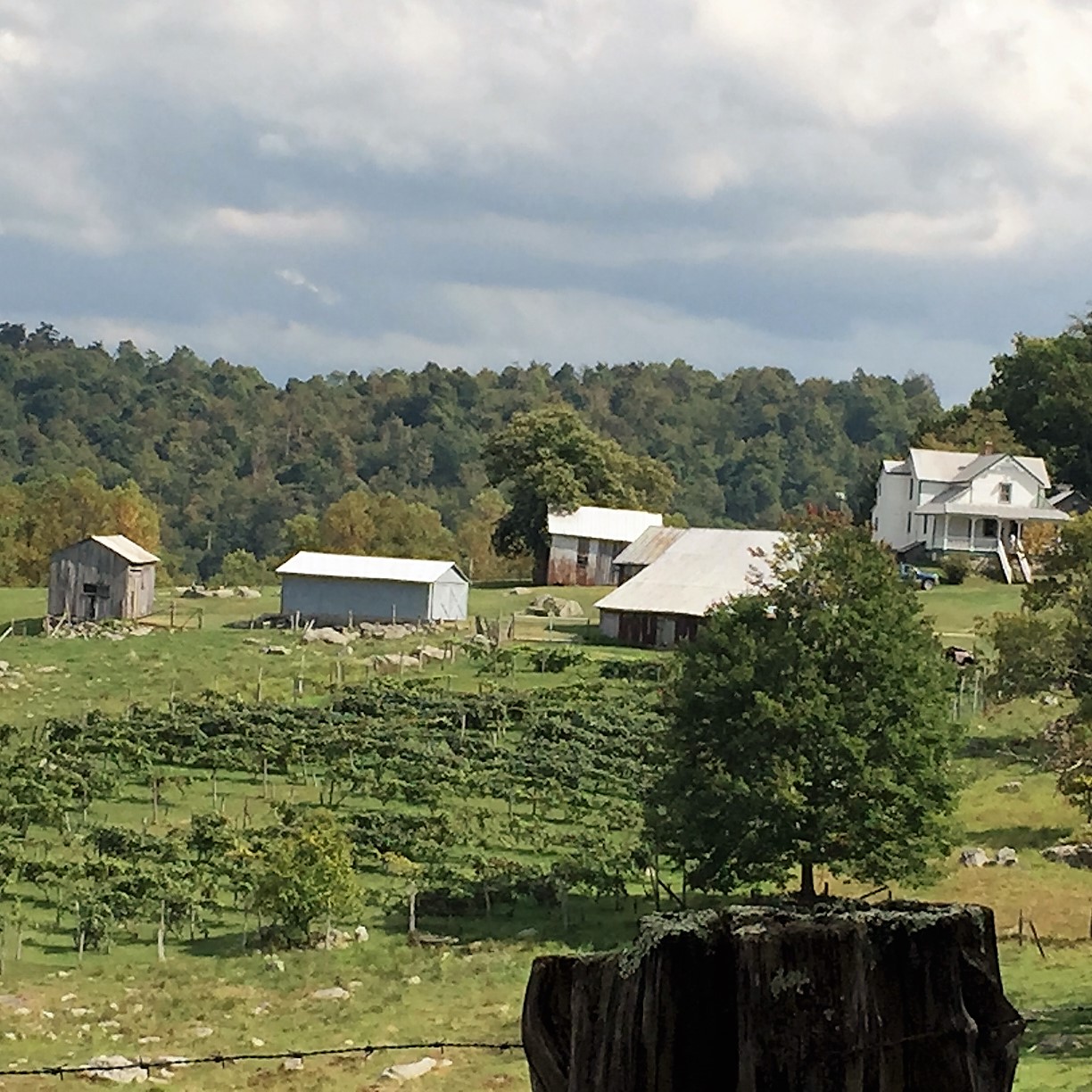 Balli Farm - Webster County Tourism